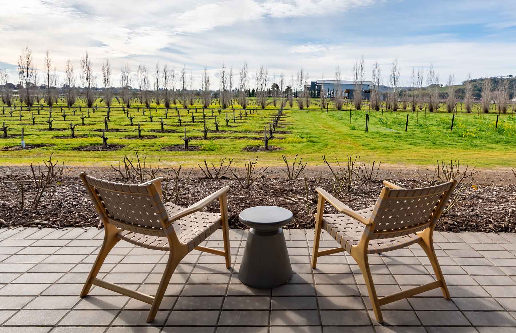 Wine Tastings Caymus Suisun