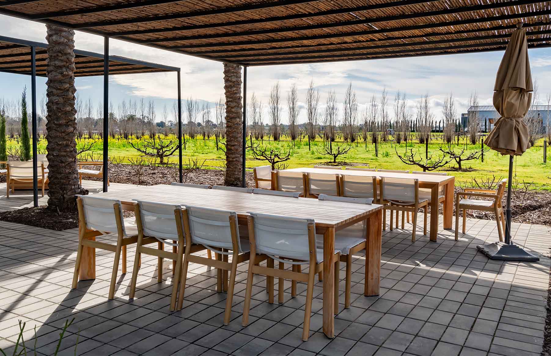 Caymus Suisun - Tastefuli - Plan your wine country adventures